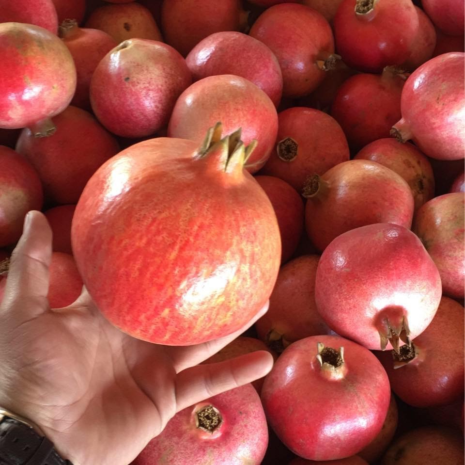 Products – ESPI-FRESH Distributor INC