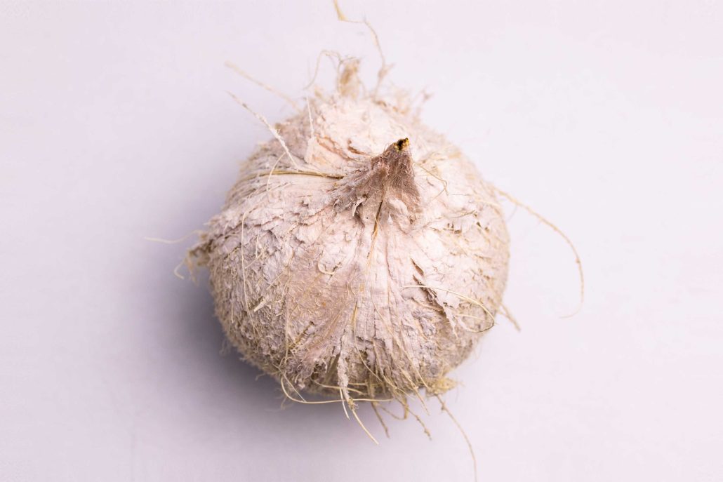 Coco Pelado / Peeled Coconut - ESPI-FRESH Distributor INC