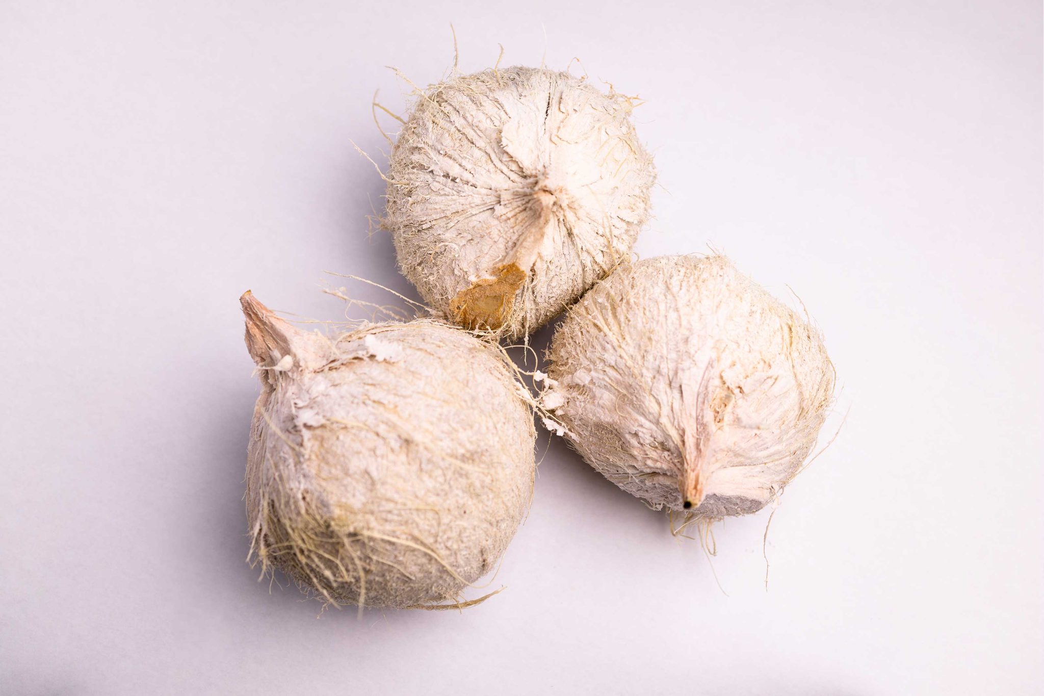 Coco Pelado / Peeled Coconut - ESPI-FRESH Distributor INC