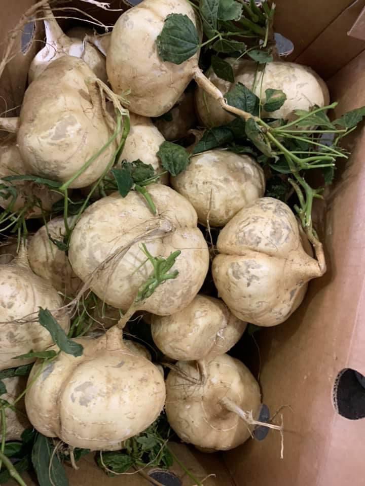 Coco Pelado / Peeled Coconut - ESPI-FRESH Distributor INC