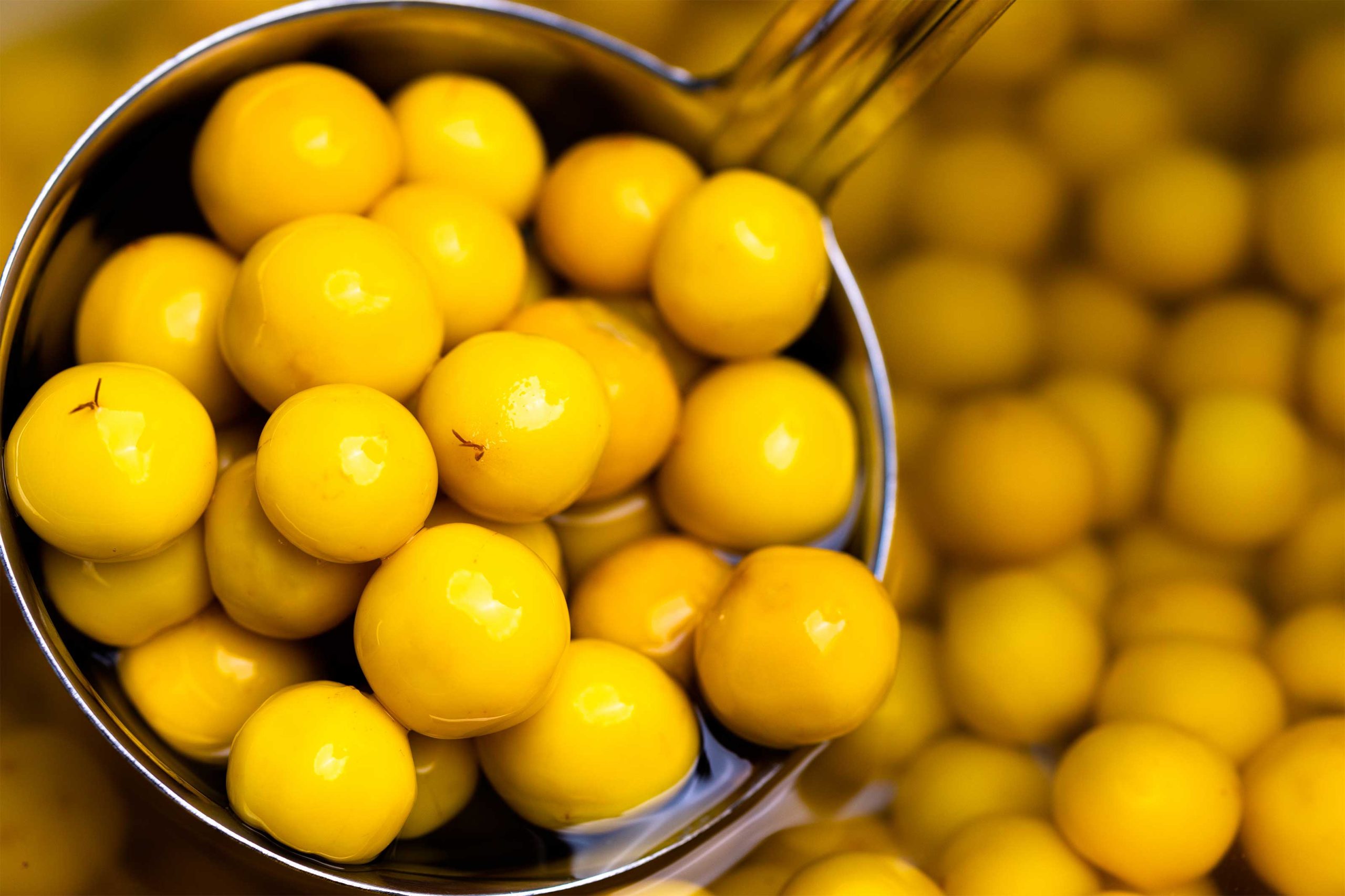 Nanche en cubeta / Nance Fruit - ESPI-FRESH Distributor INC